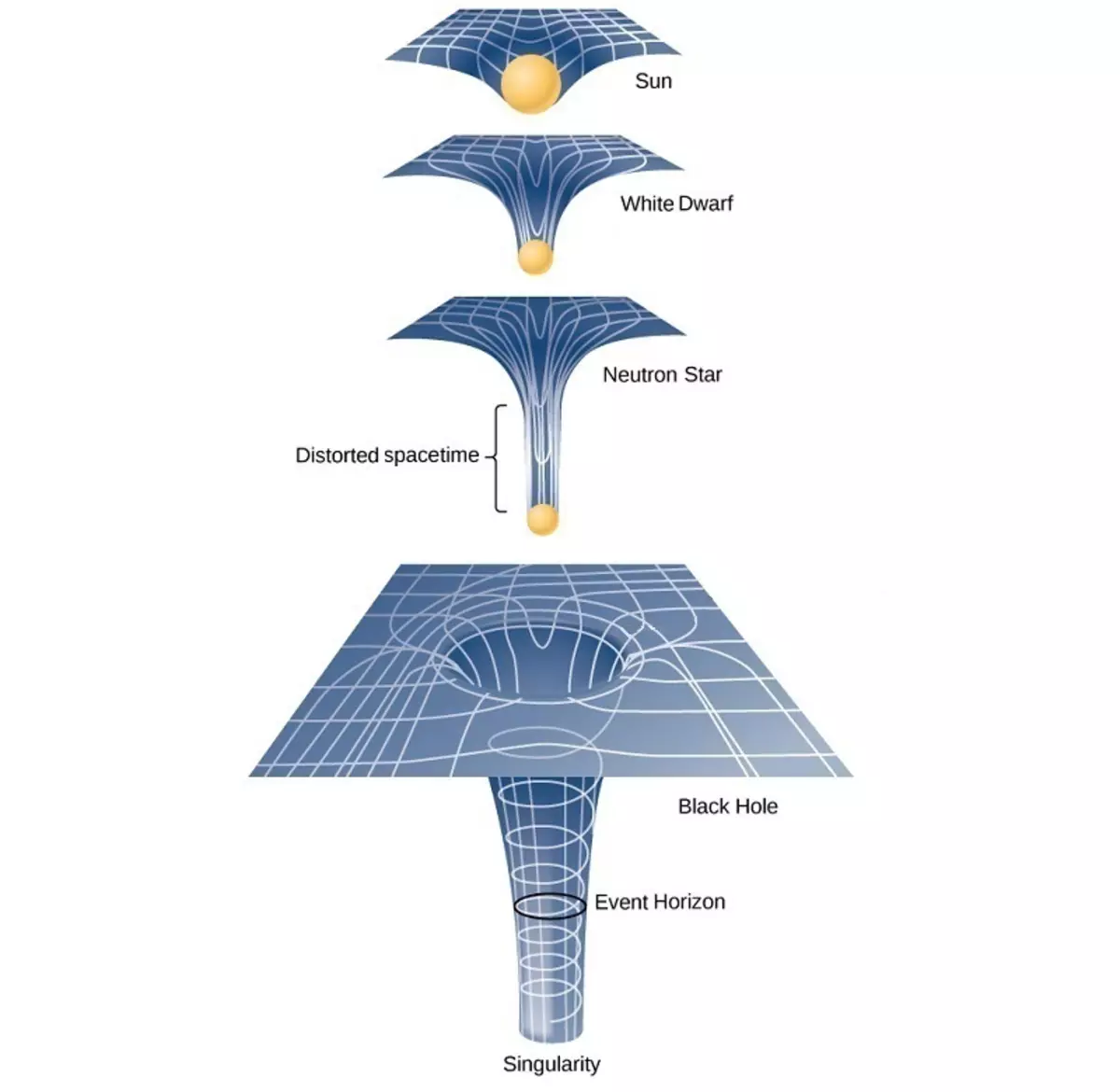 Wéi een e Mol Lach erstellt - Physik ass detailléiert Instruktiounen 1017_4