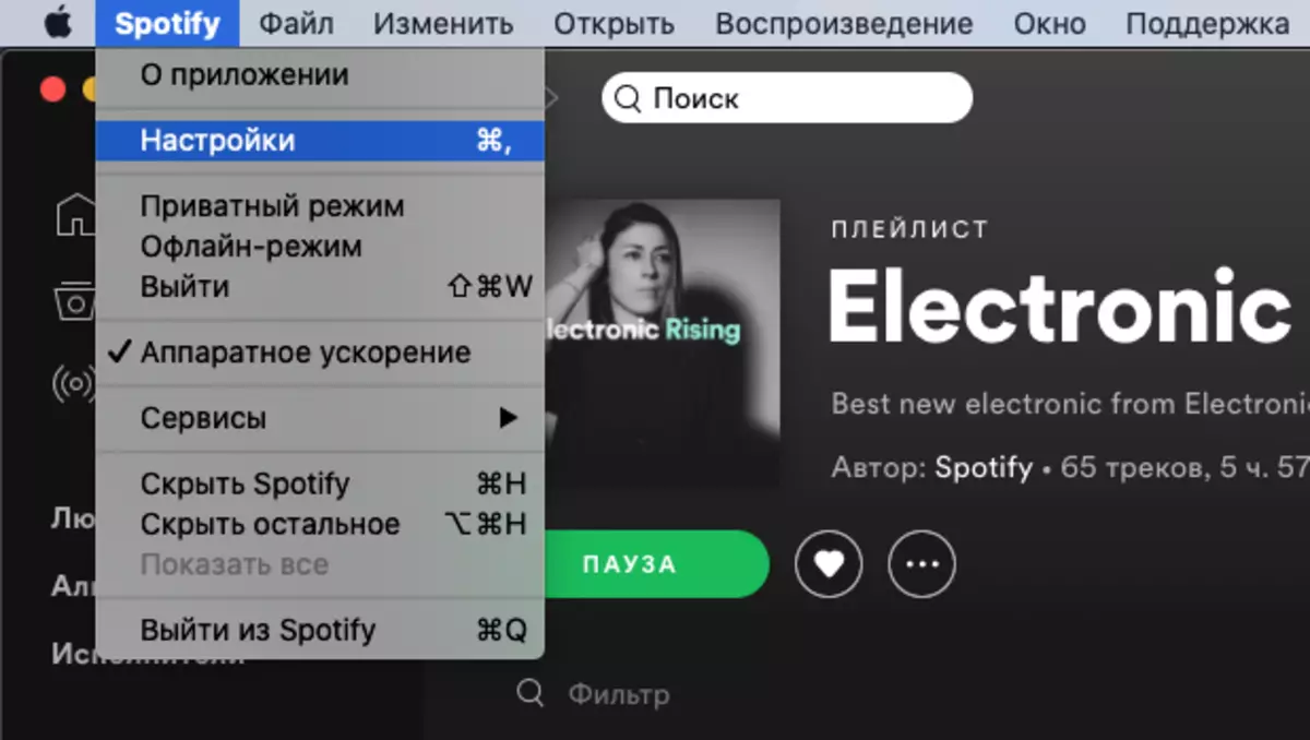 Spotify MaCos.