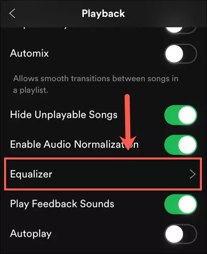 Bộ cân bằng Spotify (iOS)