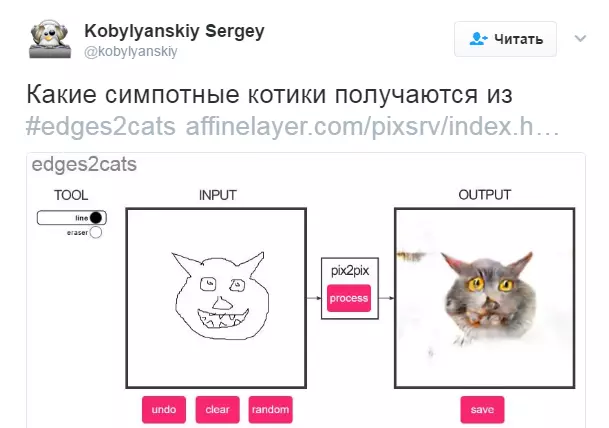 Жиектер2cats.