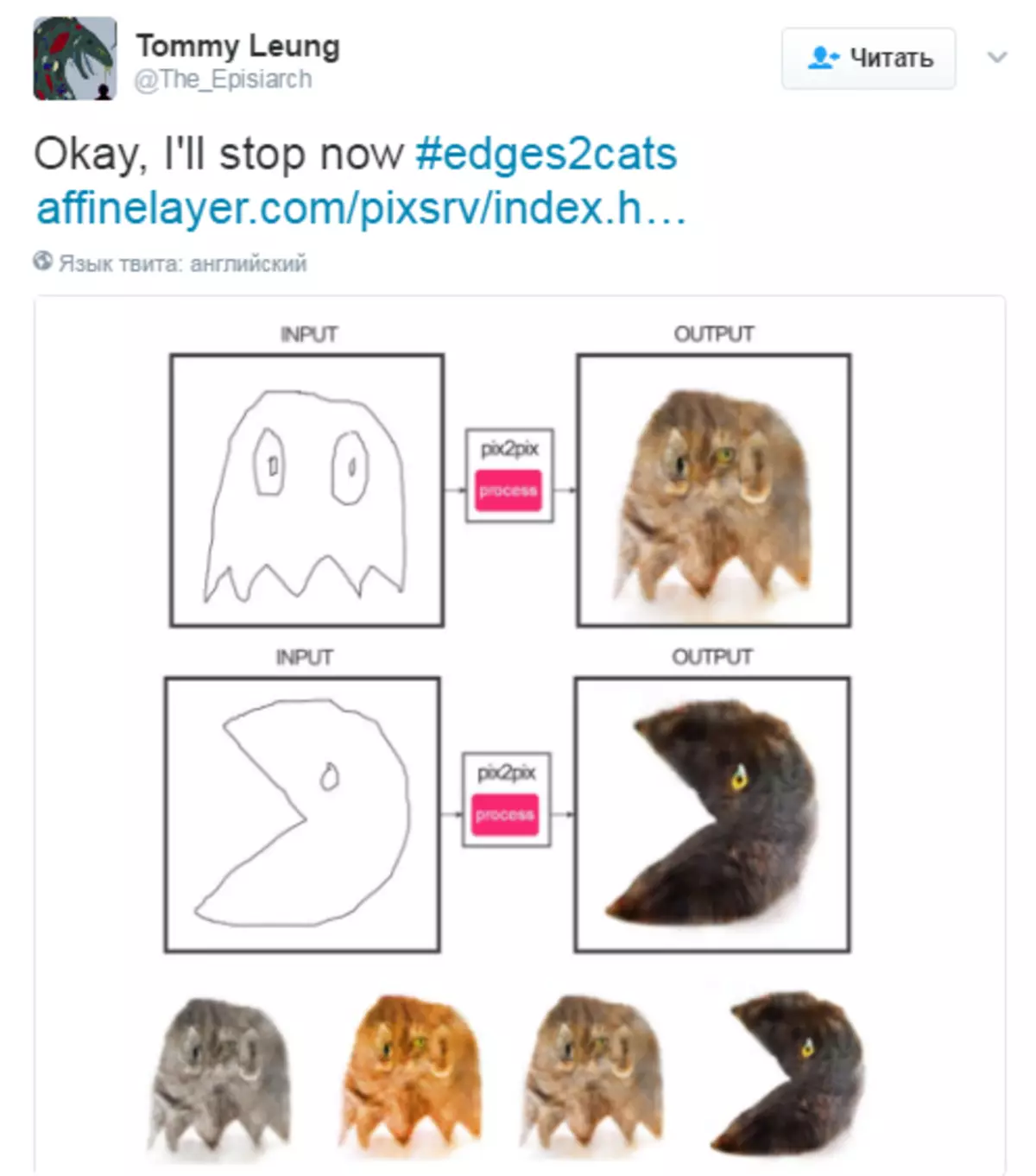 Edges2cats.