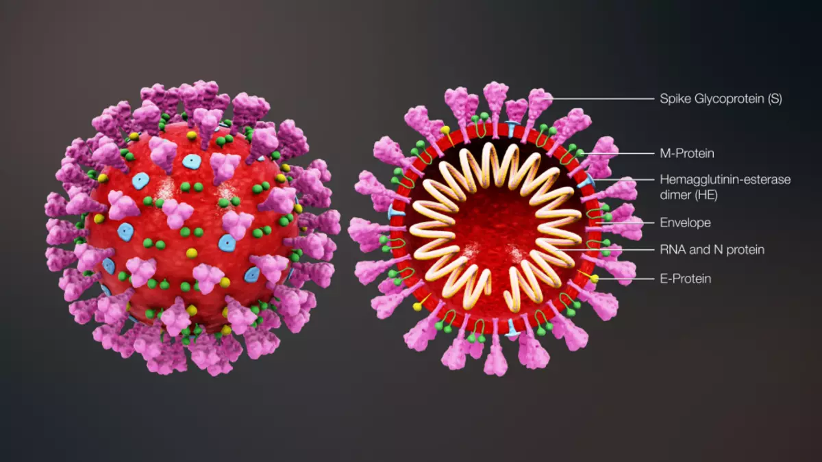 Pandemic afa tausaga, ma matou te le faia lava ni suʻega sili atu ma maualuga o le coronavirus 13626_2