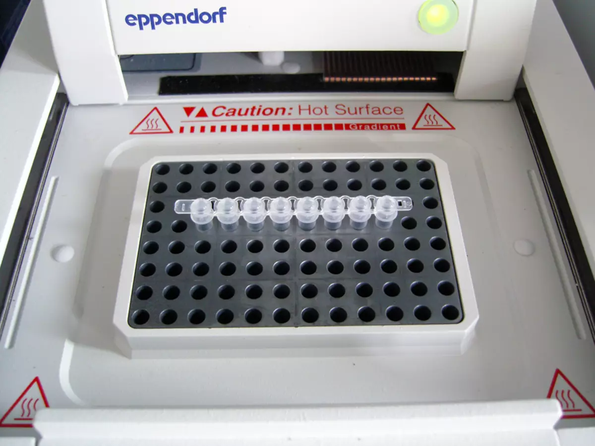 Pandemisk ett halvt år, och vi har fortfarande inte snabba och högkvalitativa tester för coronavirus 13626_3