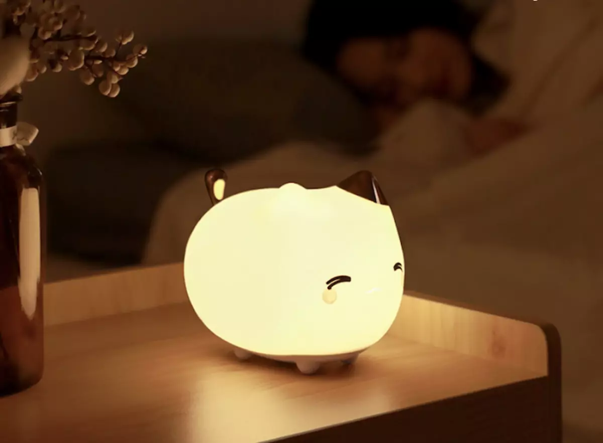 7 orihinal na lamp para sa AliExpress Home. Huwag mag-abala sa mga gabi 13819_5