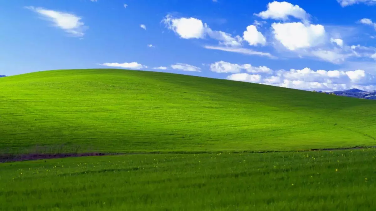 Windows XP.