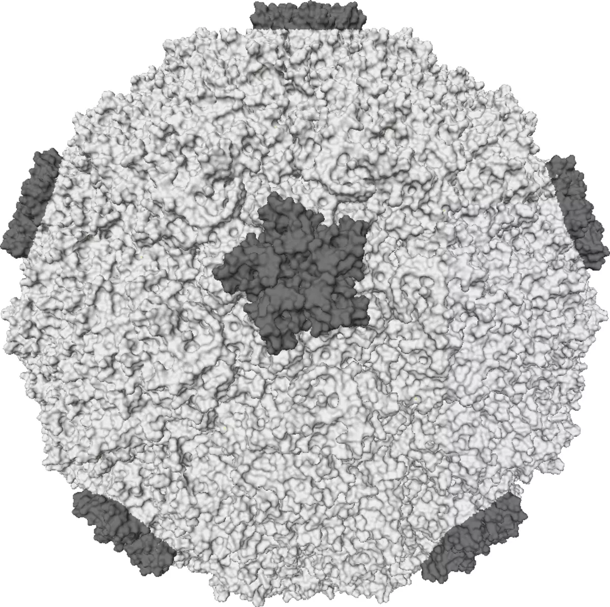 Proteína recentemente descoberta pode nos livrar permanentemente de um resfriado 1490_2