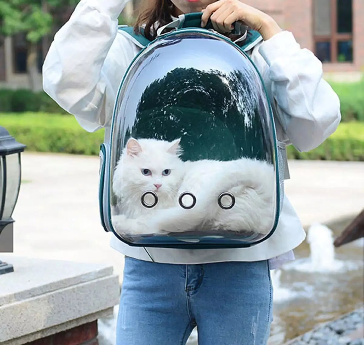 Transparentní kočka batoh
