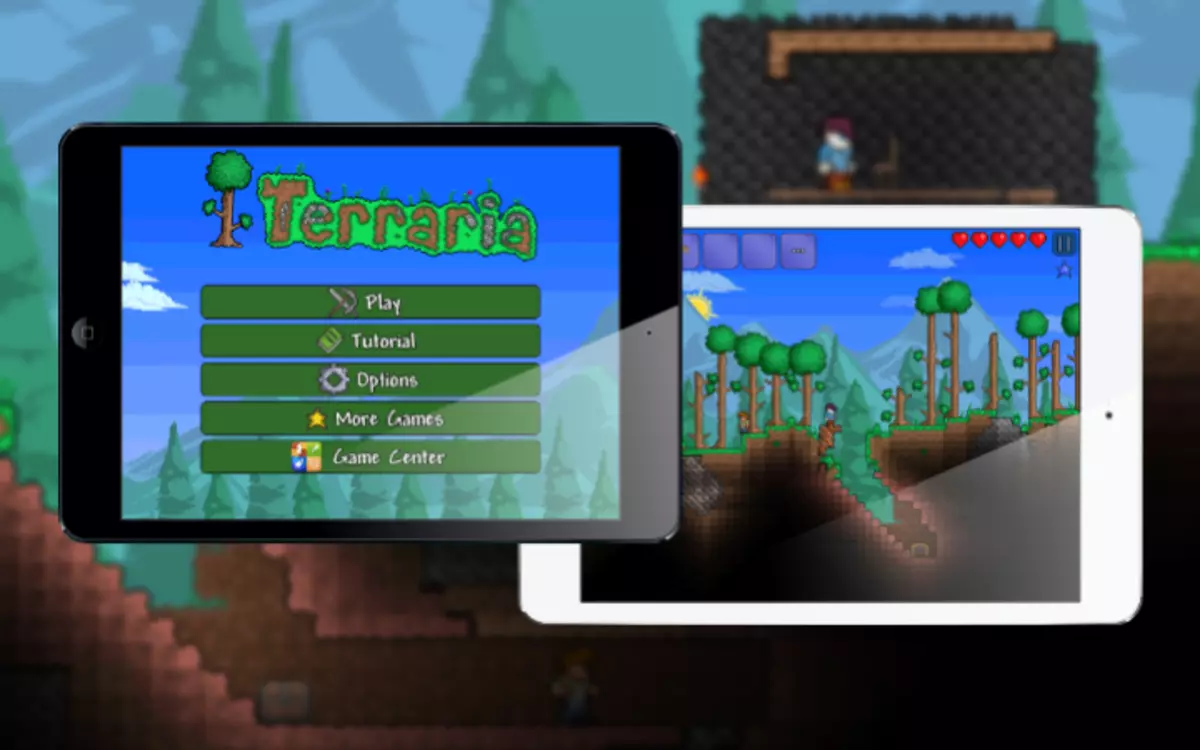 Terraria