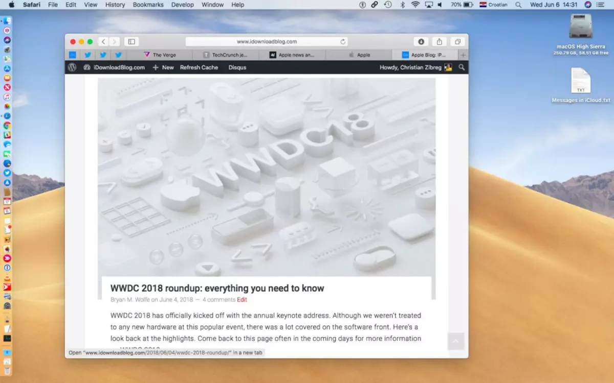 Macos-mojave-safari-favicons-enabled.jpg