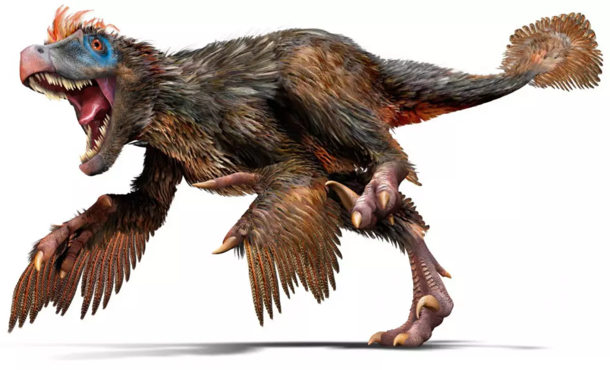 Velociraptor-2.jpg。