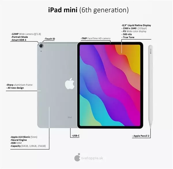 iPad mini 6.