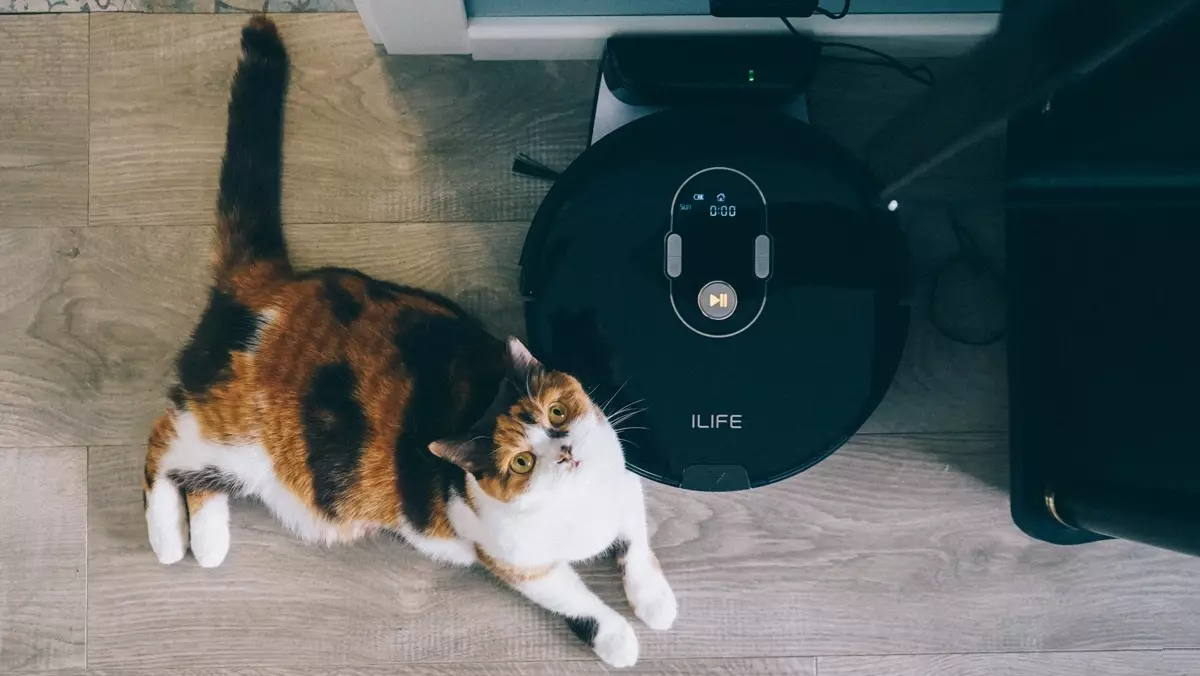 Expérience en utilisant un aspirateur de robot ILIFE A7 - bataille avec poussière, chat et trouble 21432_1