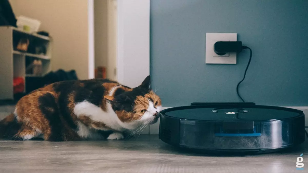 Expérience en utilisant un aspirateur de robot ILIFE A7 - bataille avec poussière, chat et trouble 21432_5