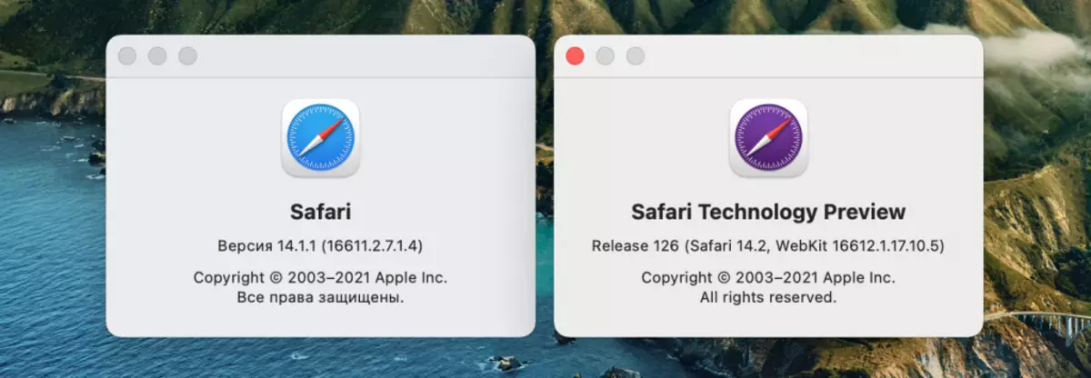 Safari.