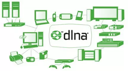 Device with support for DNLA