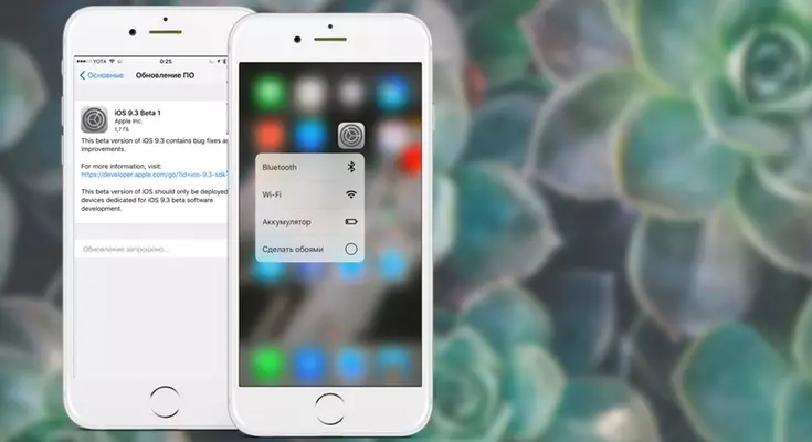 IOS Aldatu berrikuspena 9.3 Beta 1