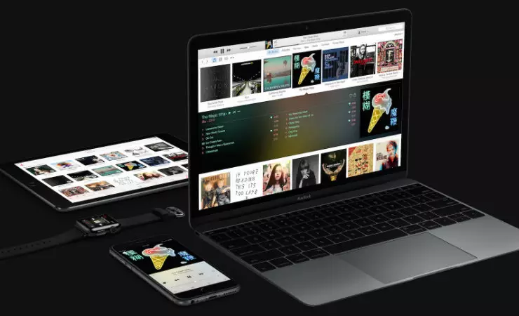 Dezvoltatorii au acces la API Music Apple