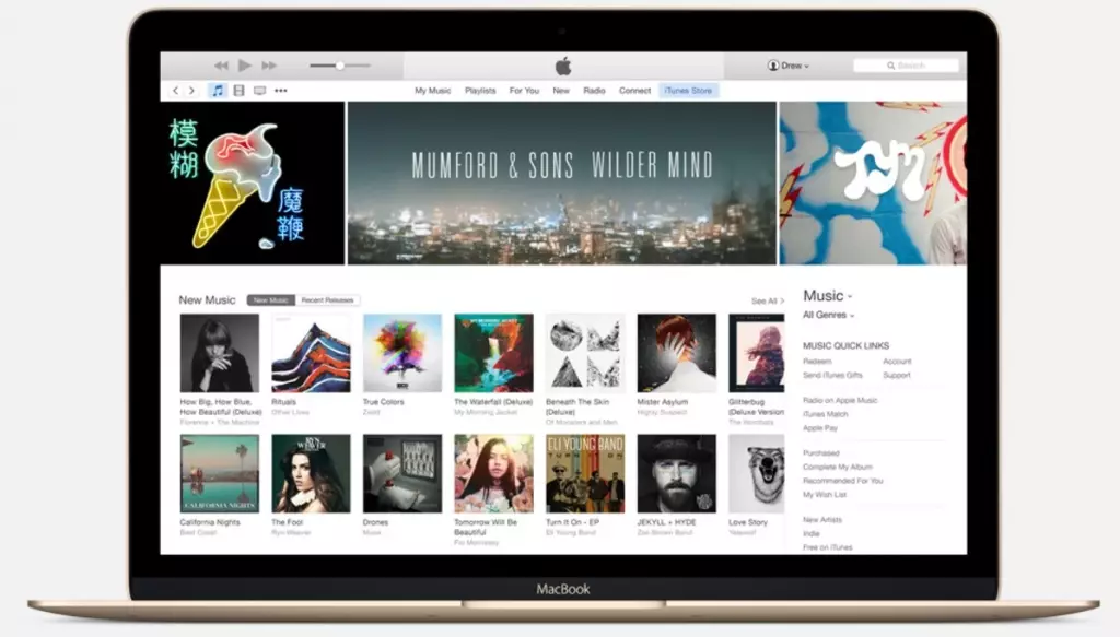 Apple sent to the home to the user employees to study the causes of music loss