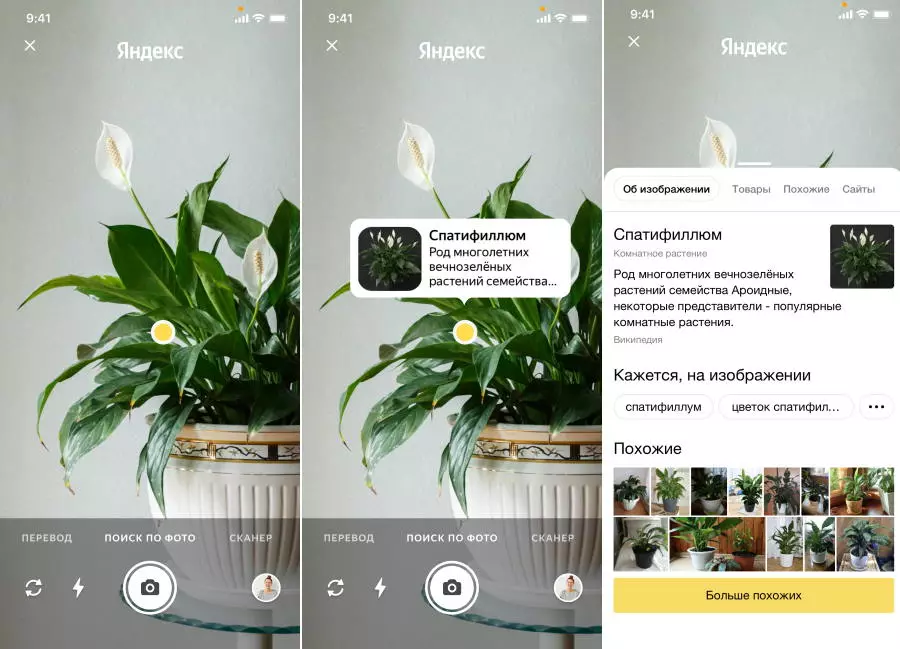 Yandex қосымшасында интеллектуалды камера пайда болды. Ол қалай біледі? 37274_3