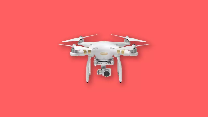 Dji plentom