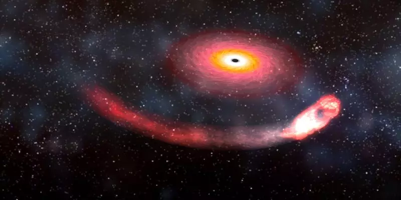 علماء الفلك تتبع بعناية الثقب الأسود يمتص النجم النيوتروني - لماذا يفعلون ذلك؟
