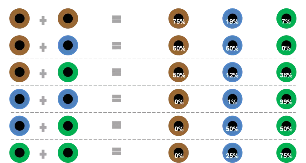 Comment pouvons-nous avoir la couleur de nos yeux? 6623_3